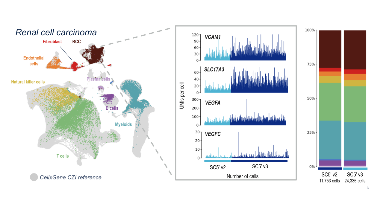 The neXt generation of single cell RNA-seq: An introduction to GEM-X technology - 10x Genomics